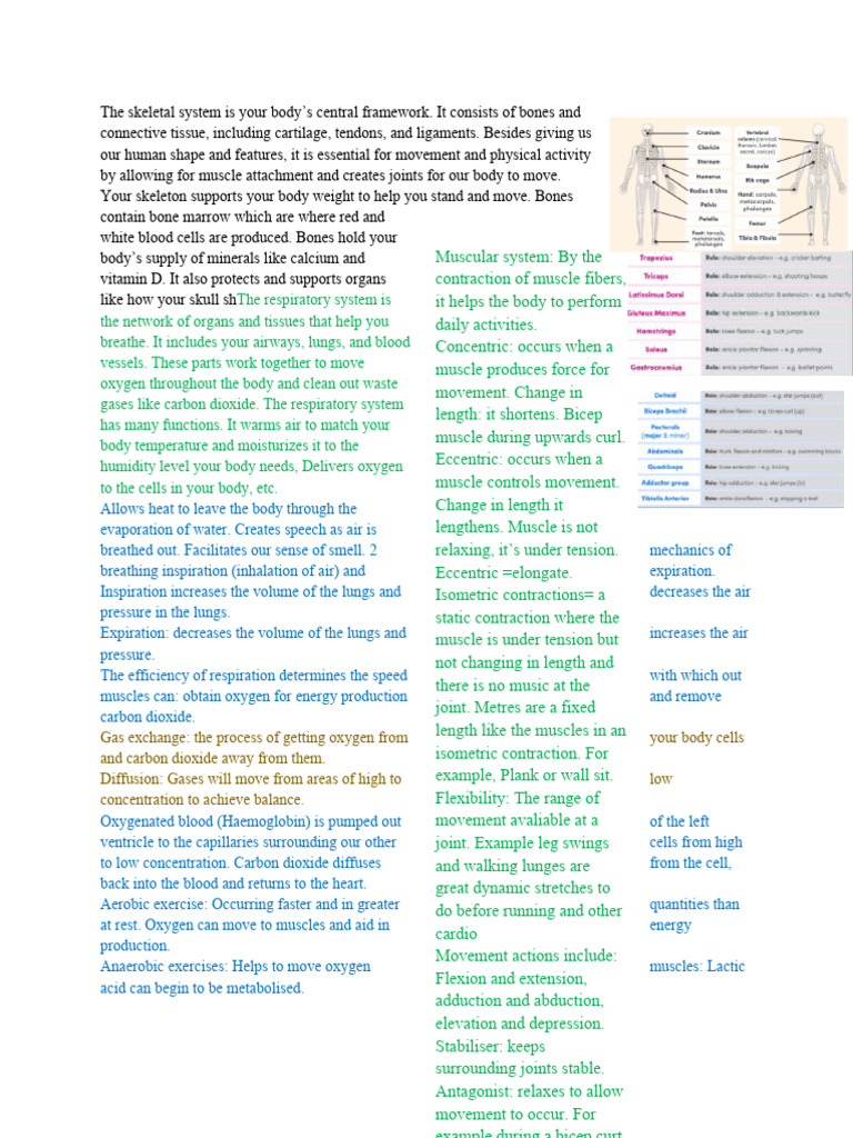 Updated PDHpe Cheat Sheet | PDF | Wellness