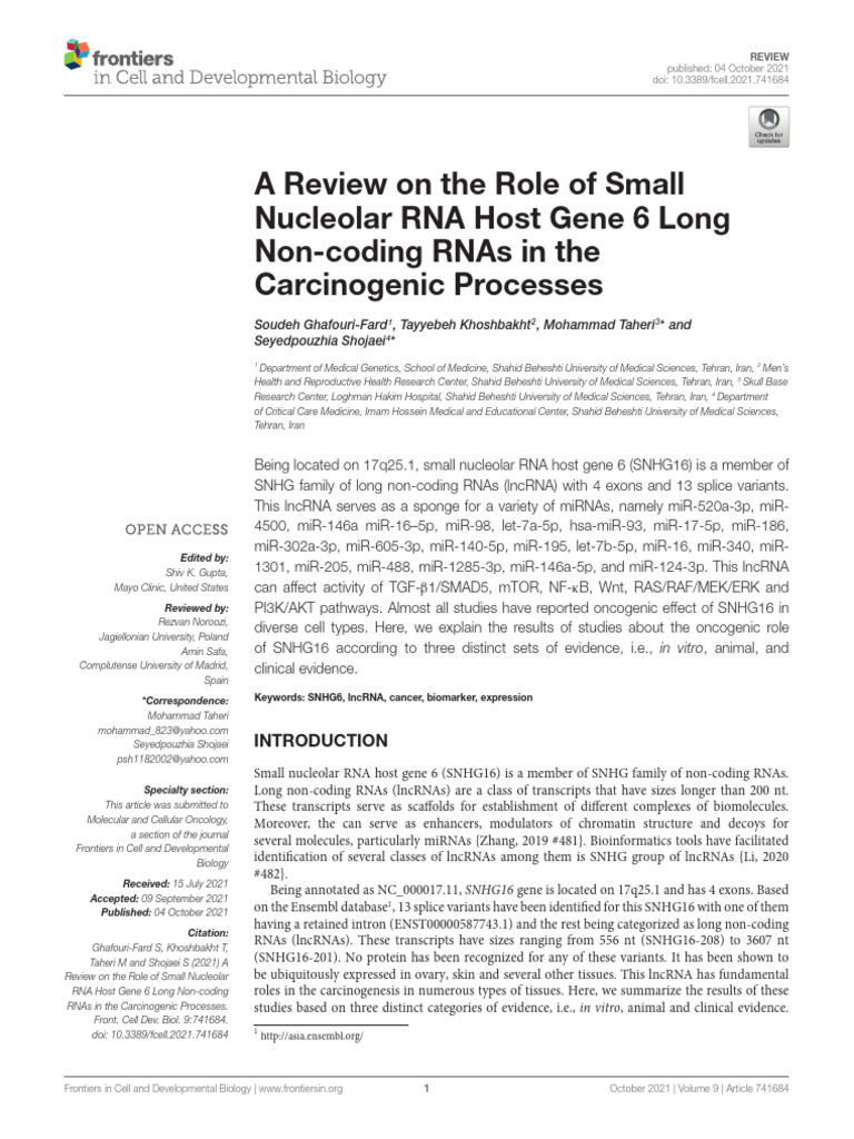 A Review On The Role of Small Nucleolar RNA Host Gene 6 Long Non-Coding ...