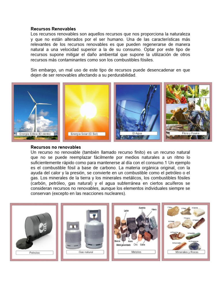 Tipos de Recursos Renovables | PDF