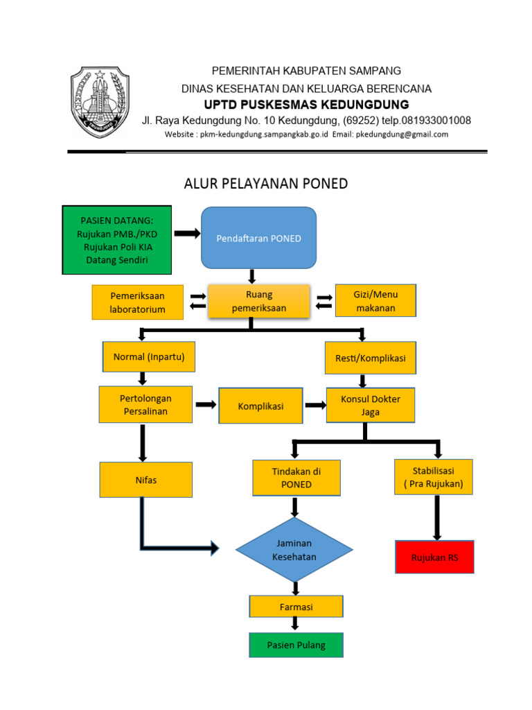 Alur Pelayanan Poned | PDF