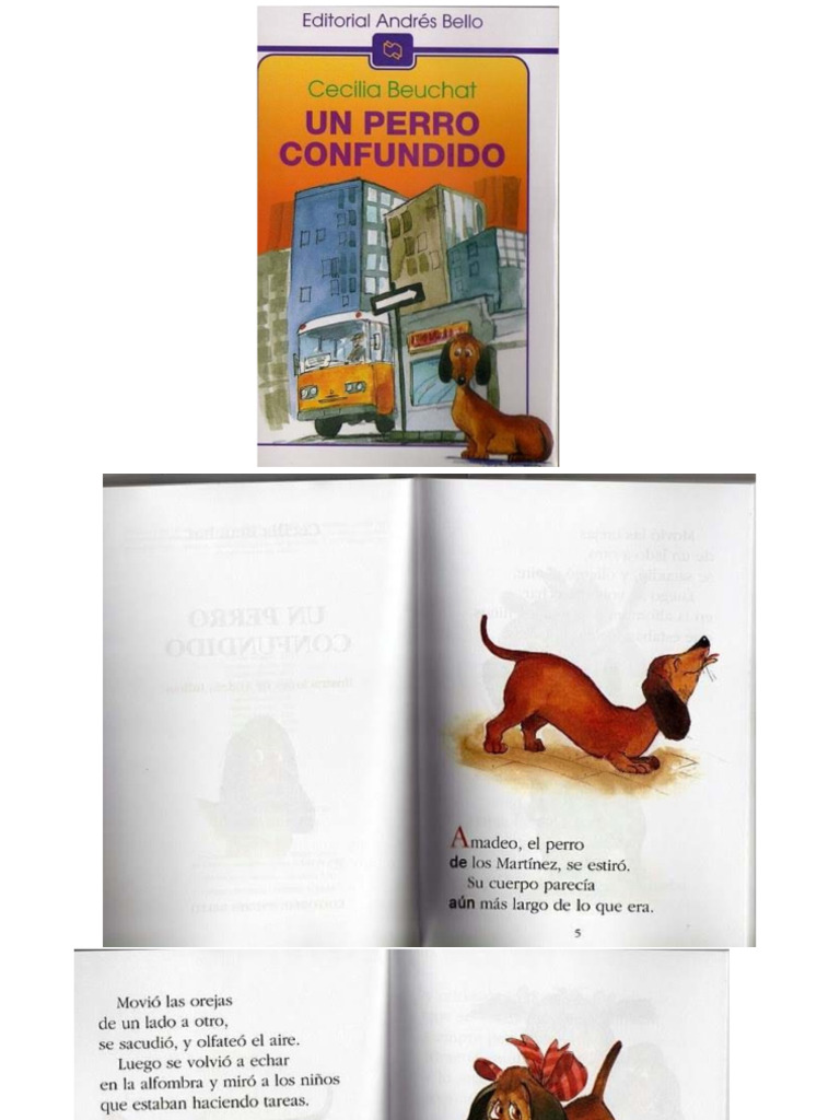 Libro Un Perro Confundido | PDF