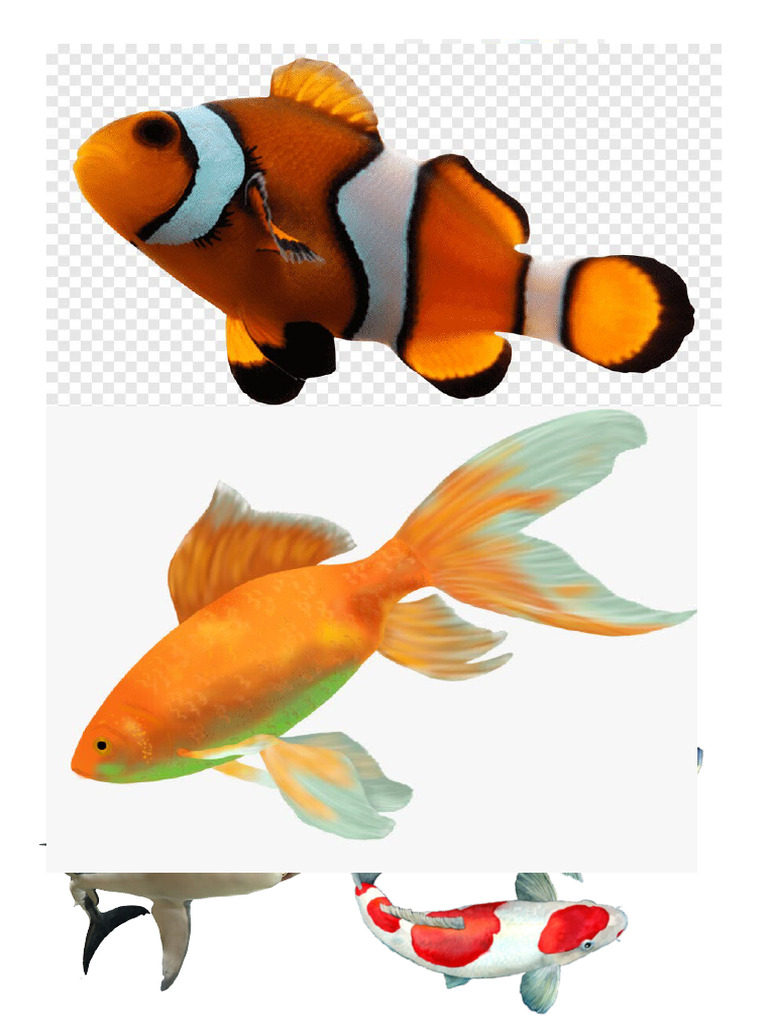 Stiker Ikan | PDF