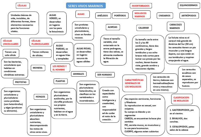 Mapa Conceptual, Seres Vivos Marinos | PDF | Algas | Moluscos