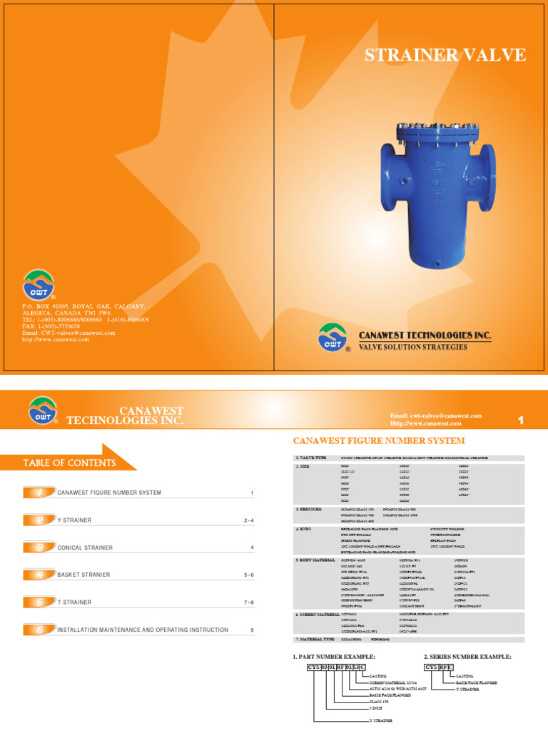 CWT Valve Installation and Maintenance Guide | PDF