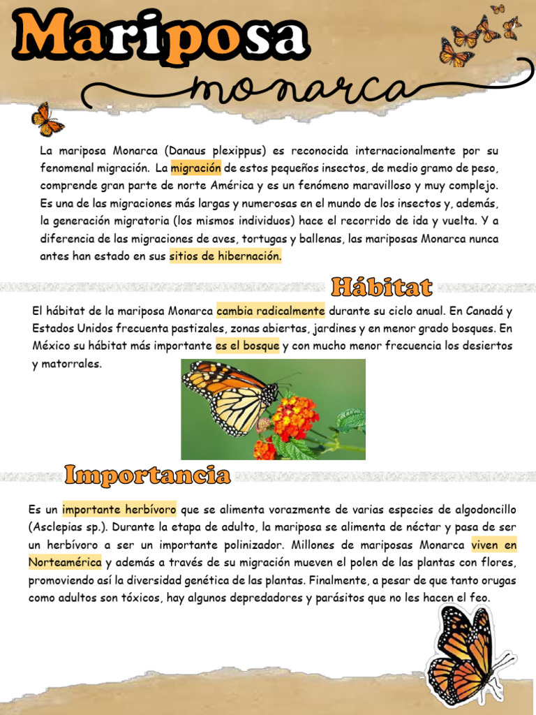 Mariposa Monarca | PDF