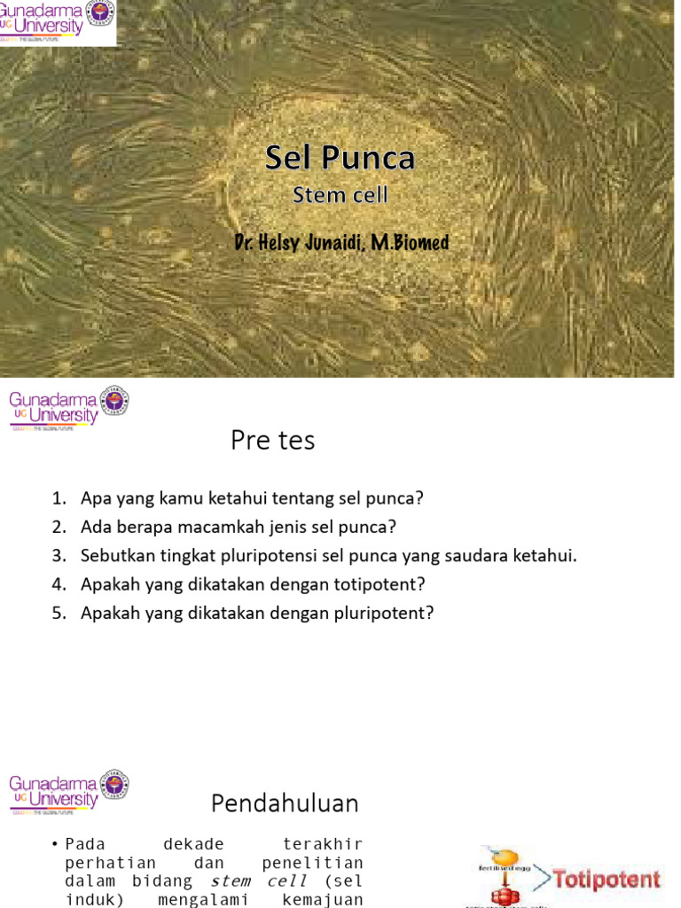 Sel Punca | PDF