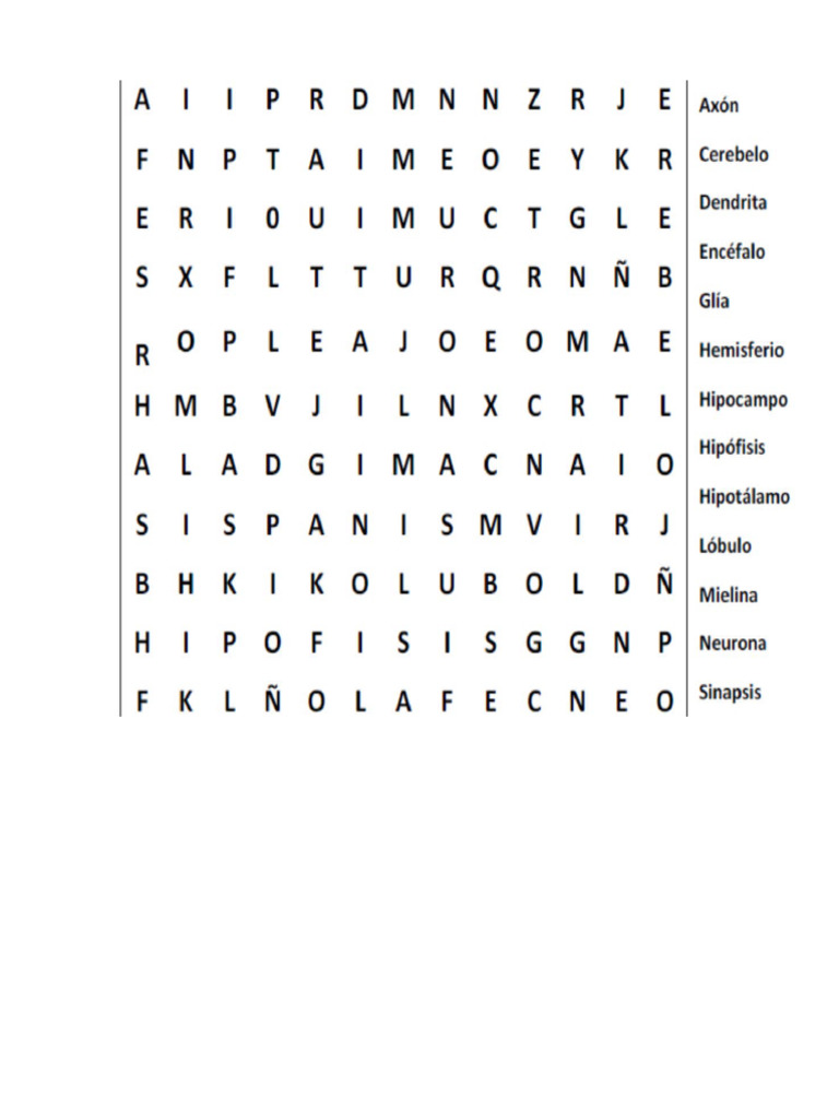 Sopa de Letras Cerebro | PDF