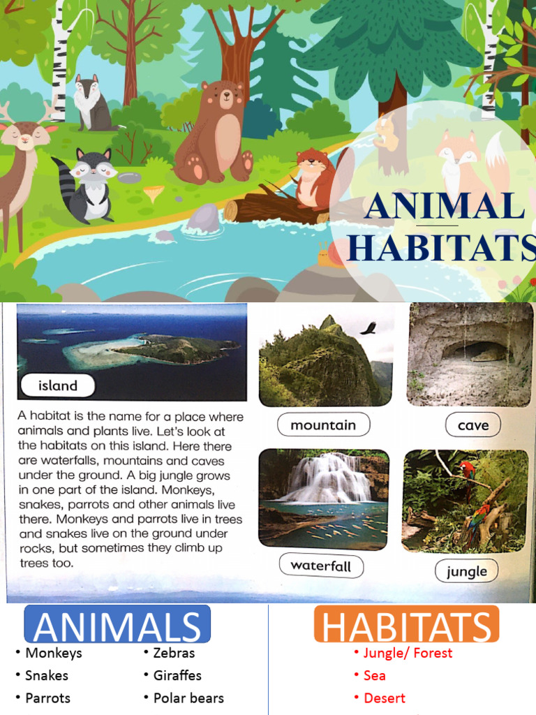 Animal Habitats and Their Inhabitants | PDF | Home & Garden