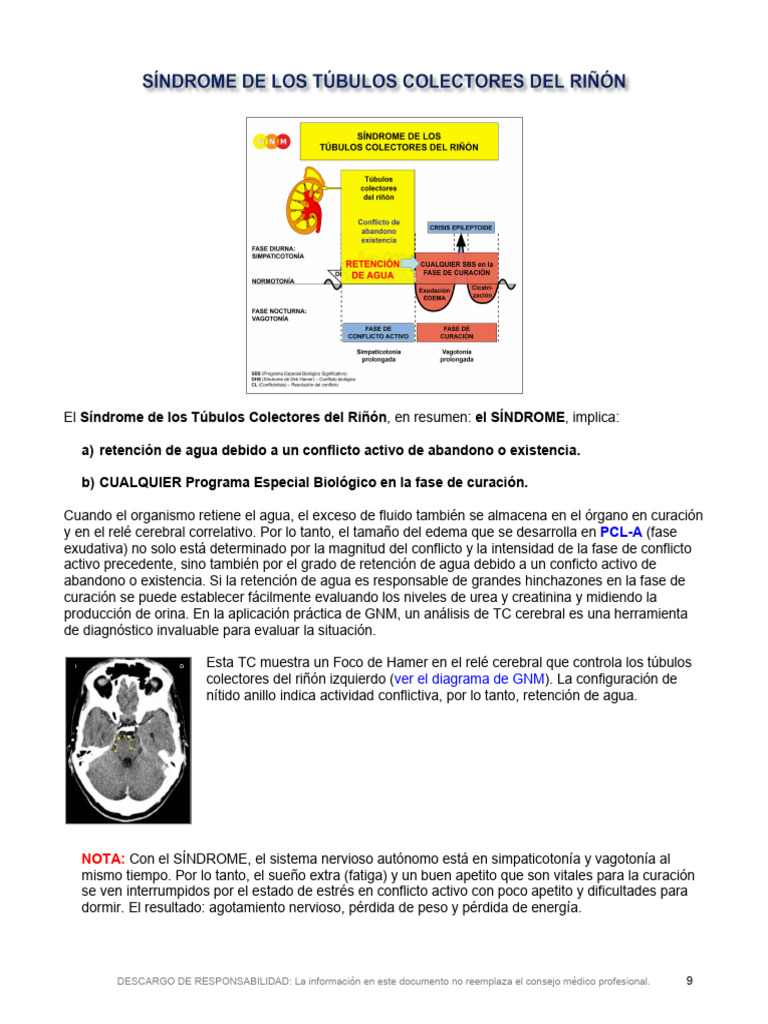 Sindrome TCR. Caroline Markolin. Español | PDF | Relaciones personales ...