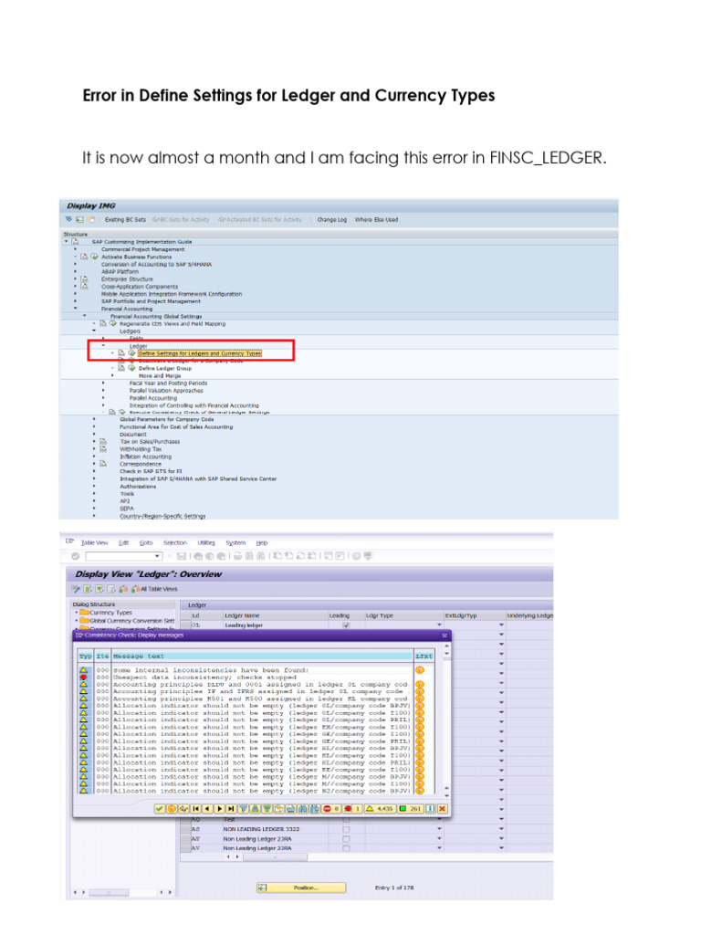 Error in Define Settings For Ledger and Currency Types | PDF
