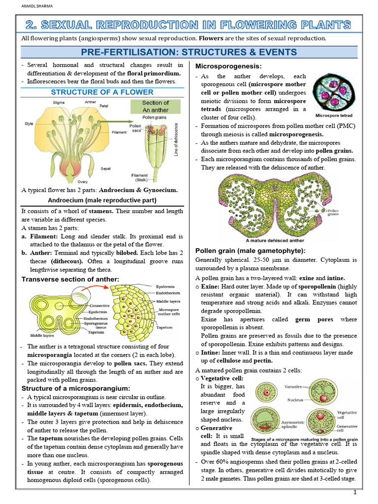 Sexual Reproduction in Flowering Plants - Notes | Download Free PDF ...