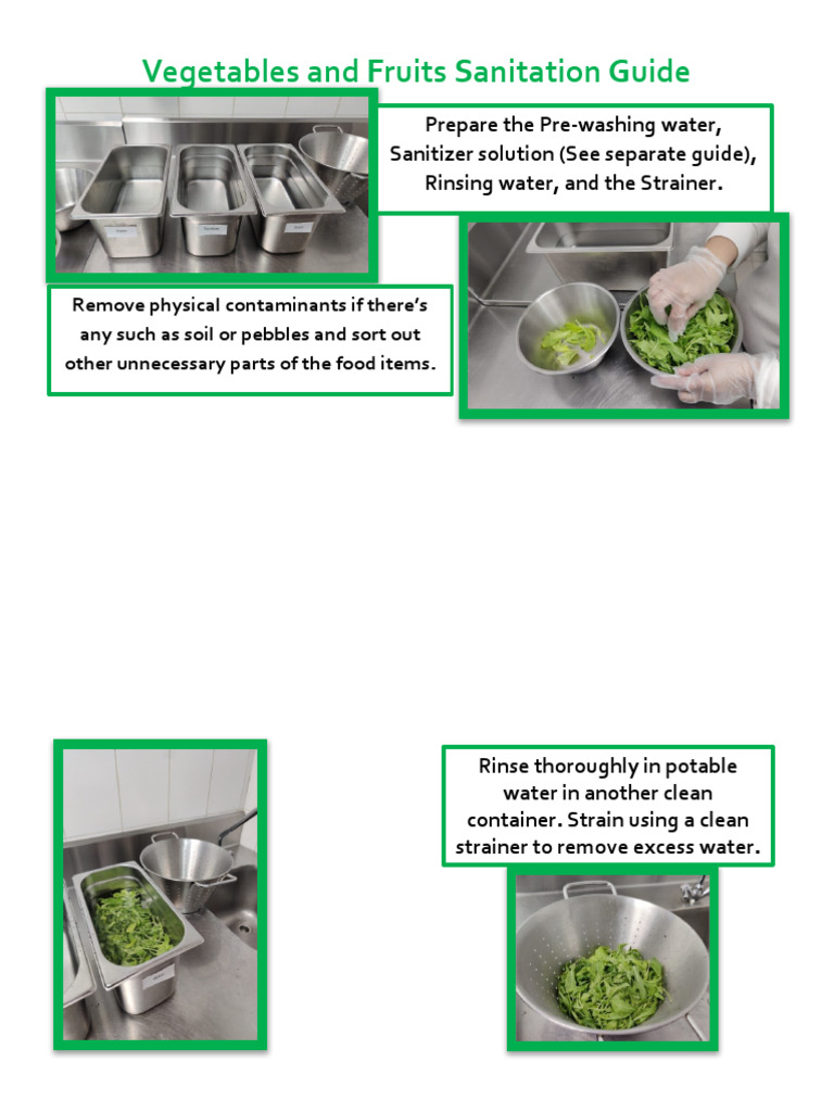 Vegetable and Fruit Sanitization Guide | PDF