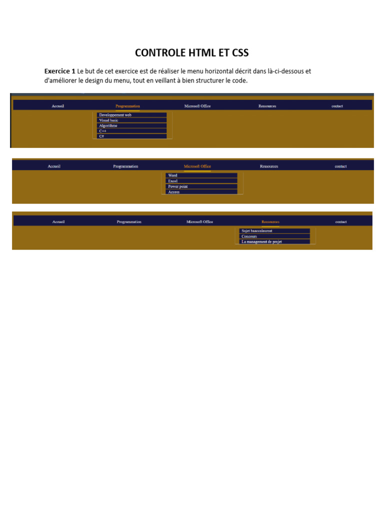Controle HTML Et CSS | PDF