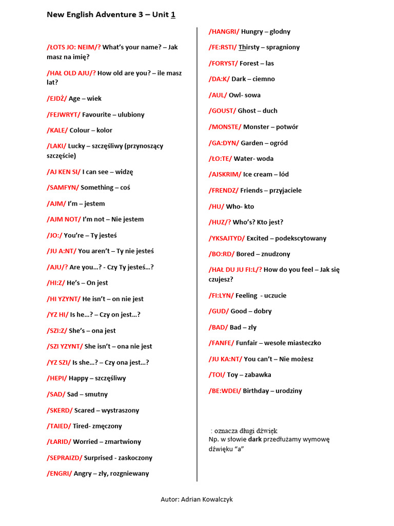 NEA 3 Unit 1 Slownictwo I Gramatyka | PDF