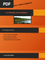Impacto Ambiental - Ecosistema - Sabana Humeda de Palmeras | PDF ...