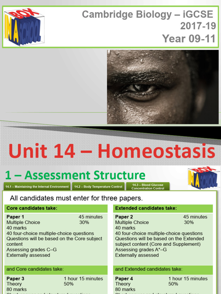 Homeostasis in Human Biology Explained | PDF