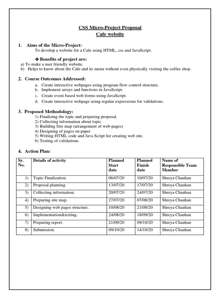 Css Report Final Shreya | PDF