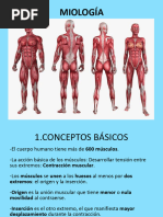 Mecánica Muscular y Función | PDF | Músculo | Contracción muscular