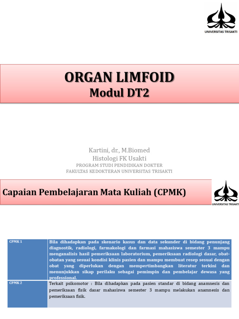 Histologi Organ Limfoid DT2 | PDF