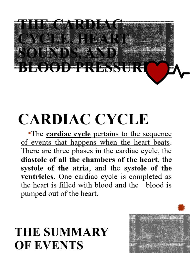 Lesson 3 the Cardiac Cycle Heart Sounds | PDF