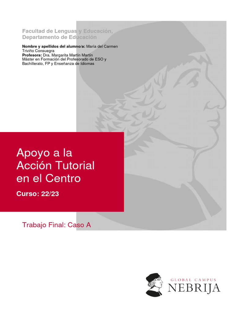 Proyecto Acción | PDF | Evaluación | Cociente de inteligencia