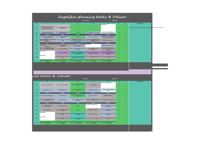 Dagplanning Week 4 Deliaar en Kaouthar | PDF