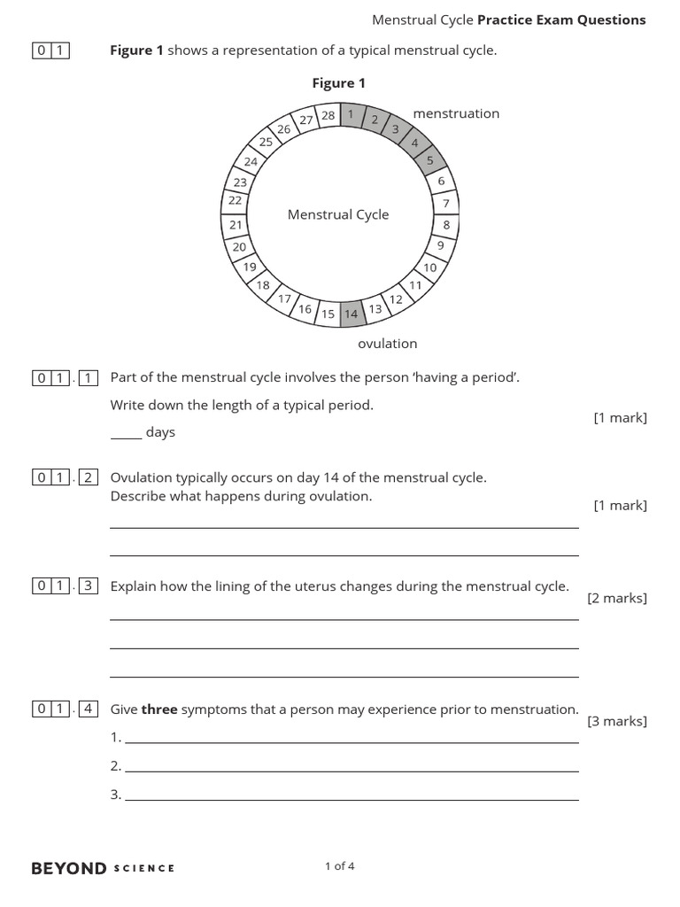 Menstrual Cycle Practice Exam Questions Higher | PDF | Menstrual Cycle ...