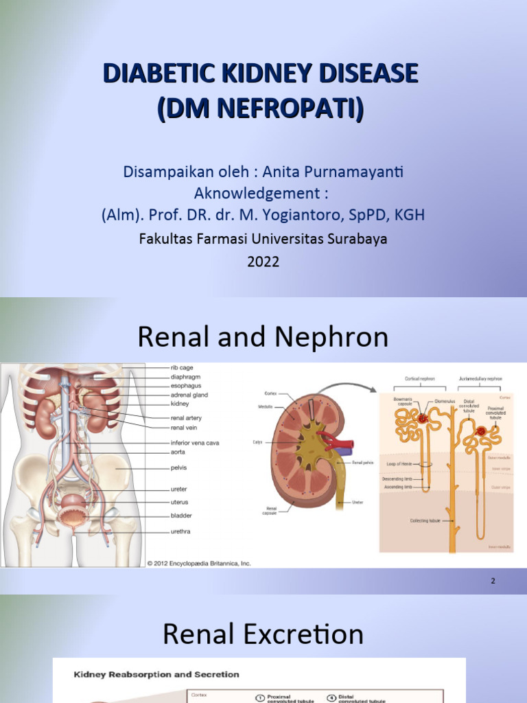Diabetic Kidney Disease (DM Nefropati) 2022 | PDF