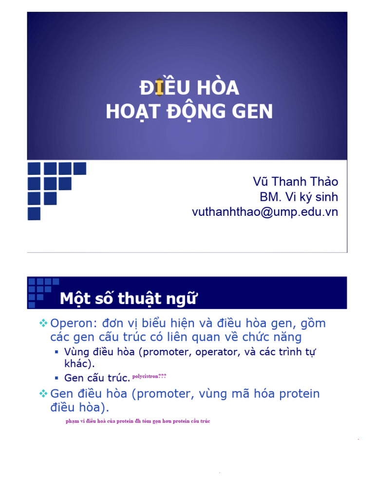 SHPT Dieu Hoa Hoat Dong Gen - 2020 | PDF