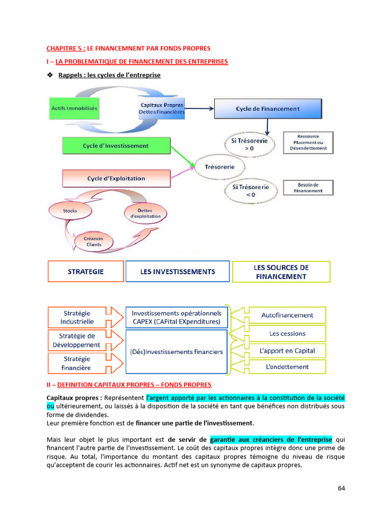 Chapitre 5 Le Financement Par Fonds Propres | PDF
