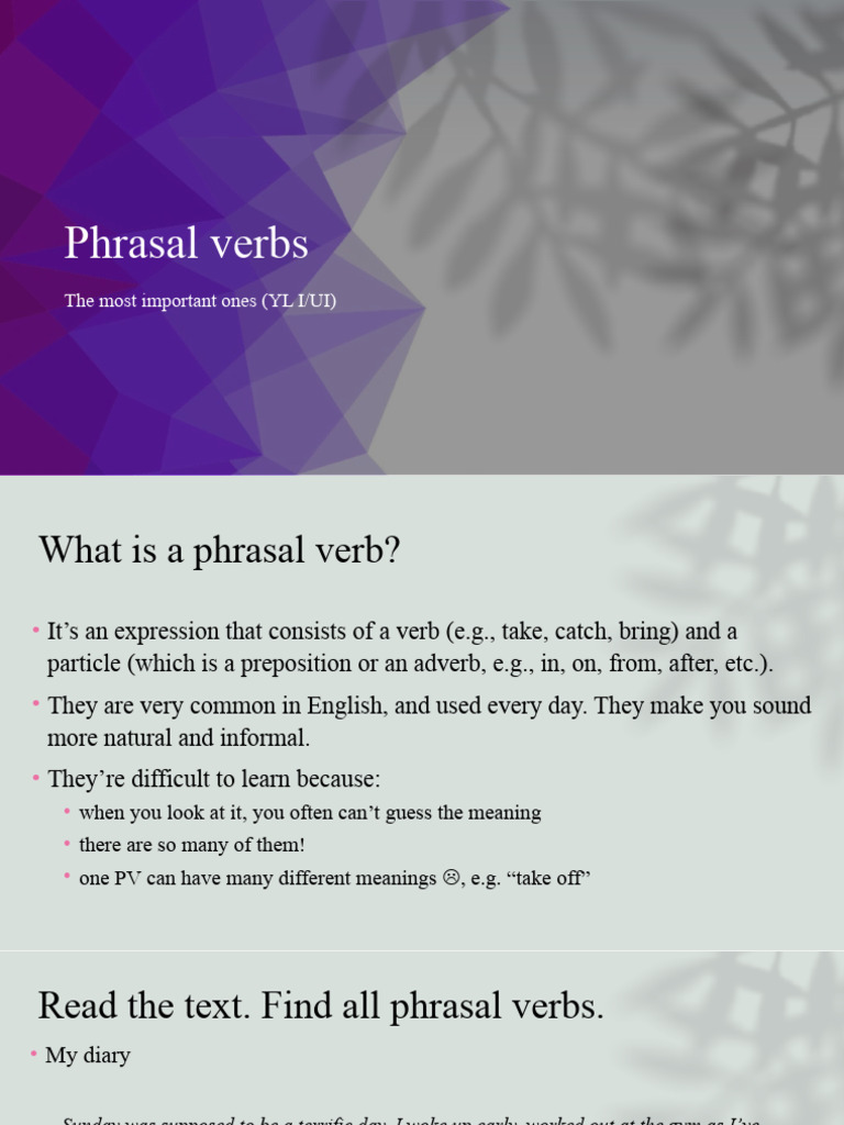 Laura Lesson 4 Phrasal Verbs | PDF