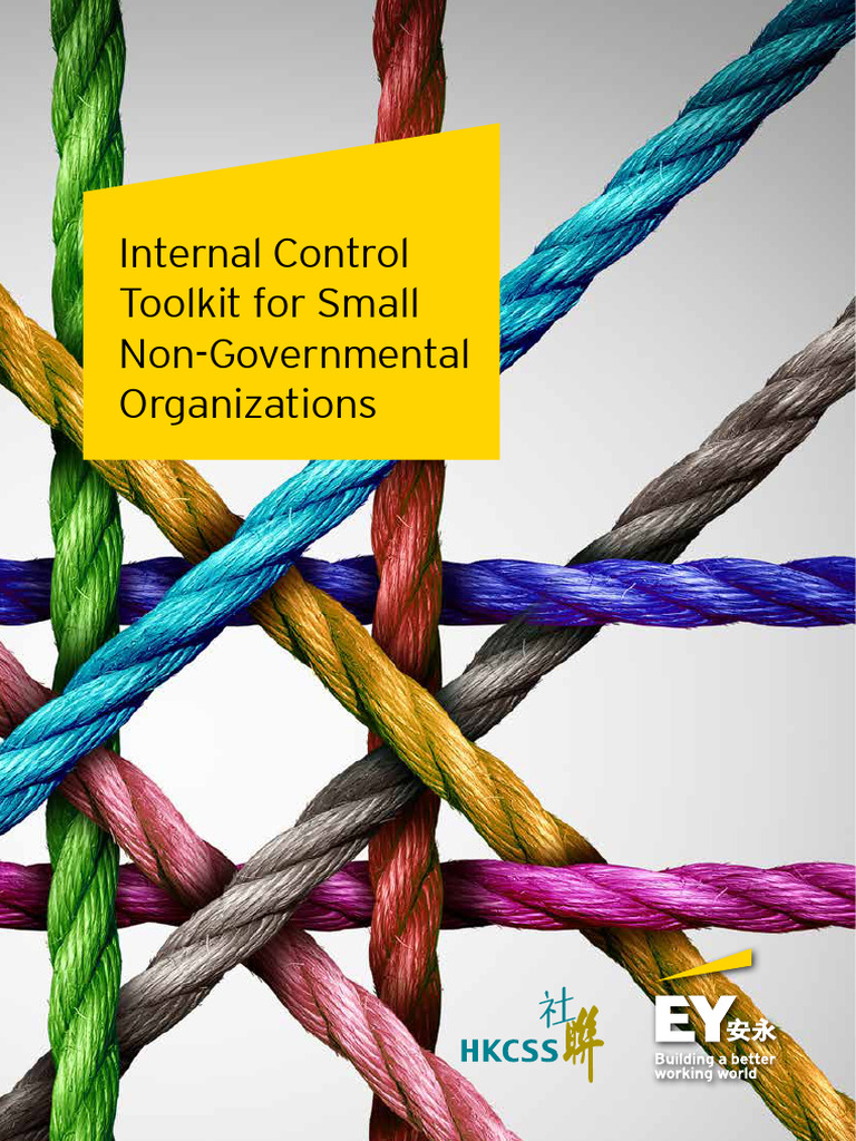 Ey Internal Control Toolkit WCGW For Small Ngos en | PDF