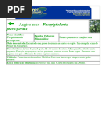 Peroba Poca | PDF | Botânica | Forma de vida vegetal