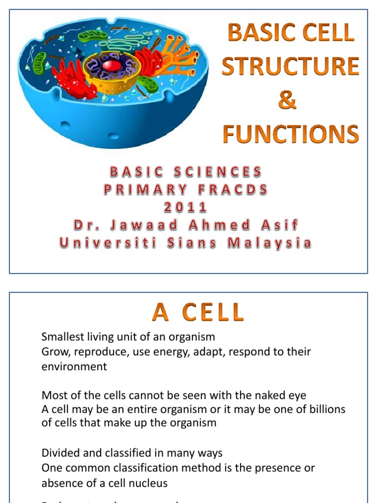 Basic Cell Structure & Function | PDF | Cell (Biology) | Cell Membrane