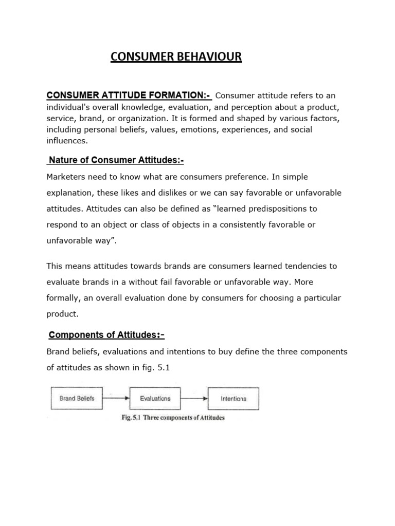 Consumer Attitude Formation | Download Free PDF | Attitude (Psychology ...