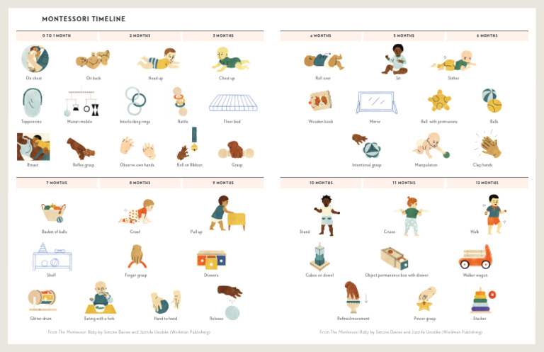 Montessori Baby Timeline | PDF