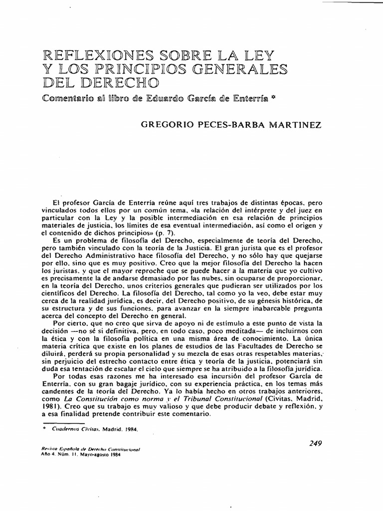La Ley Y Los Principios Generales Del Derecho Pdf Caso De Ley Juez