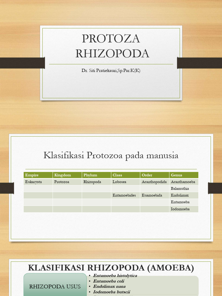 RHIZOPODA | PDF