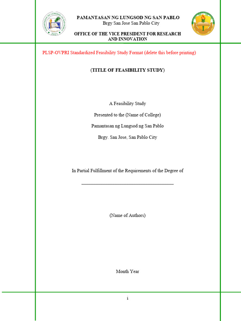 PLSP Feasibility Study Guide | PDF | Art