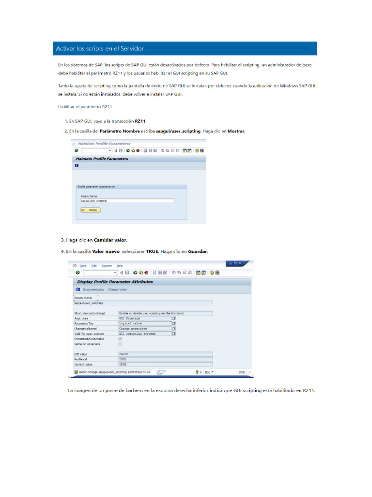 Activar SCRIPT SAP HANA | PDF
