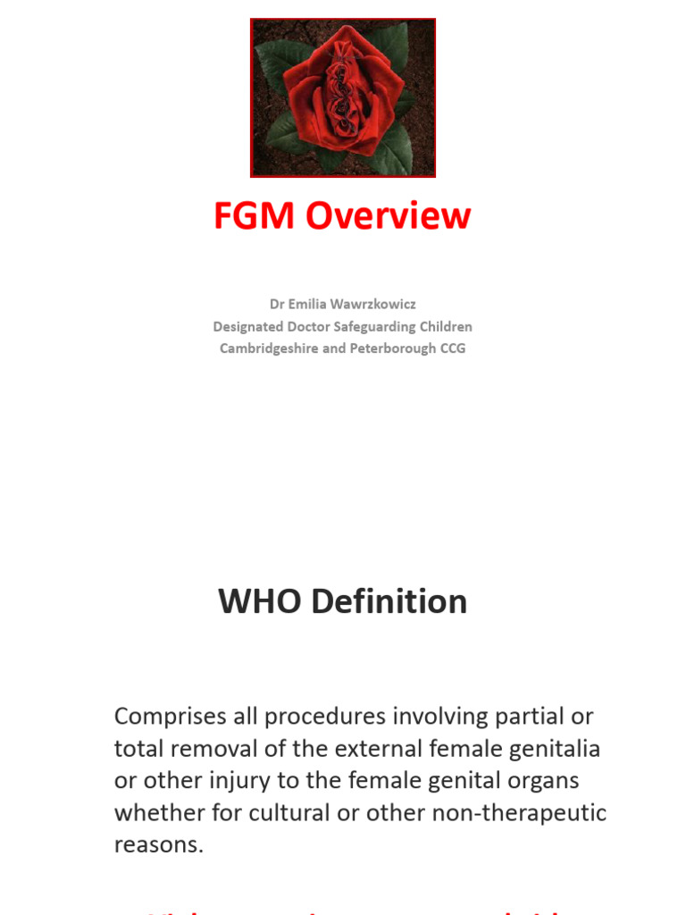 FGM Presentation 2017 | PDF | Female Genital Mutilation | Labia