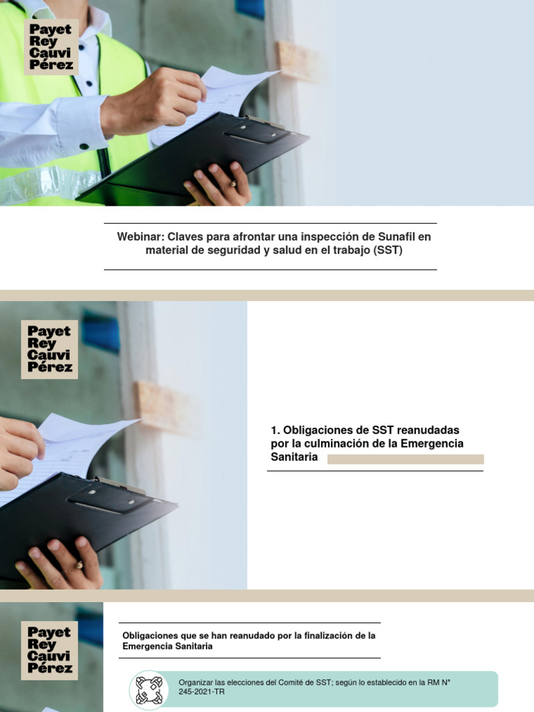 Webinar Claves para Afrontar Una Inspeccion de Sunafil en Material de Seguridad y Salud en El ...