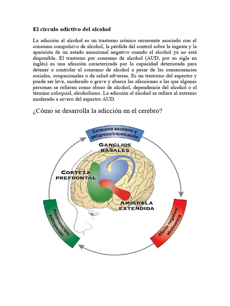 El Circulo Adictivo Del Alcohol | PDF | Alcoholismo | Medicina CLINICA