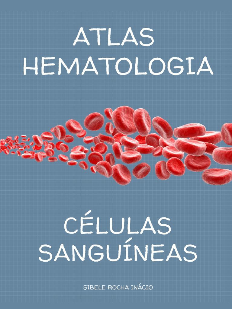 Dark Blue Grey Organic Hand-Drawn Women in STEM Portrait Educational ...