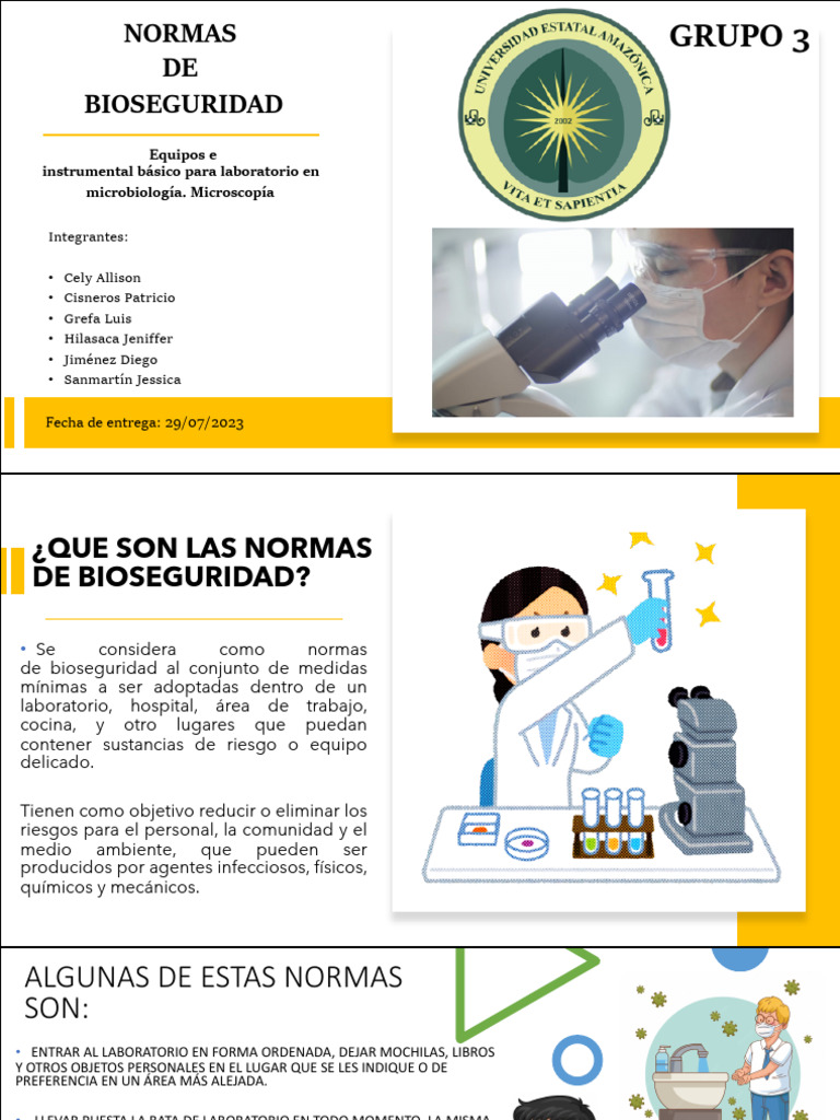 Normas de Bioseguridad en Laboratorios | PDF | Hogar, jardinería y ...