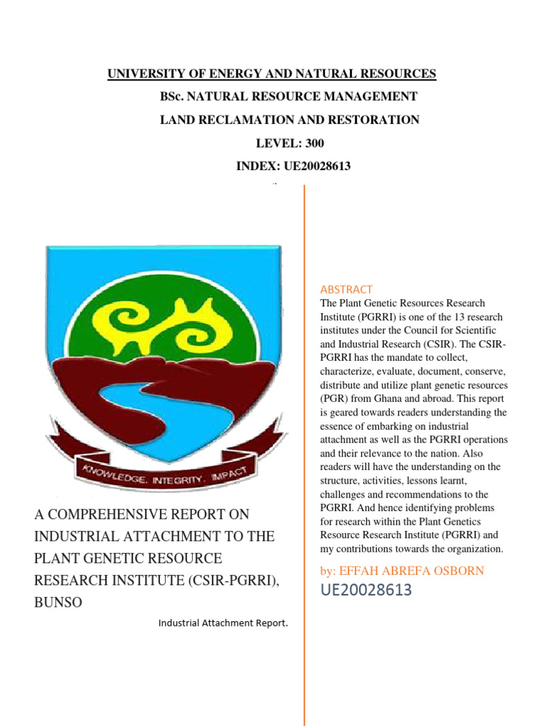 Industrial Attachment Report PDF | PDF