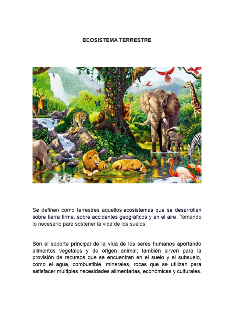 Ecosistema Terrestre | PDF | Ecosistema | Suelo