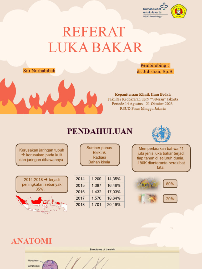 Luka Bakar | PDF