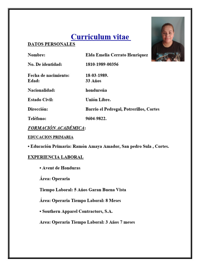 CURRICULUM_VITAE - elda | PDF