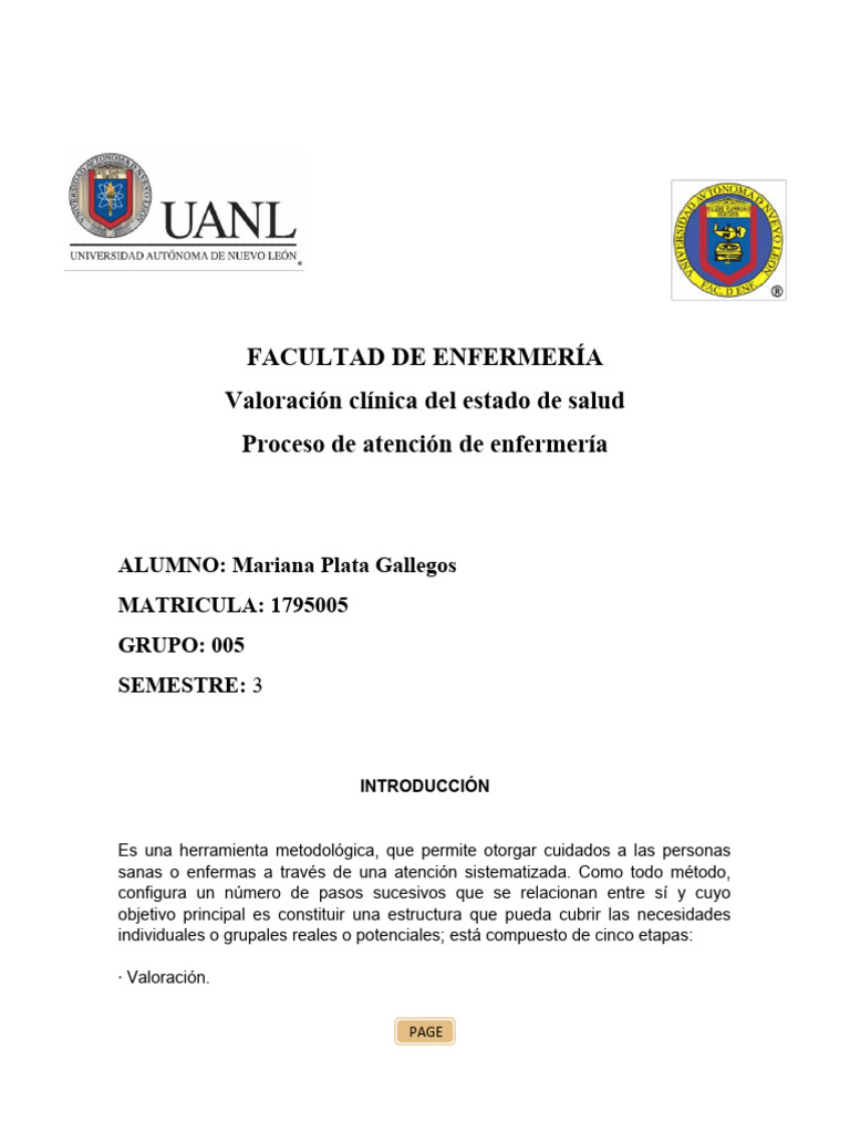 Pae Adulto | PDF